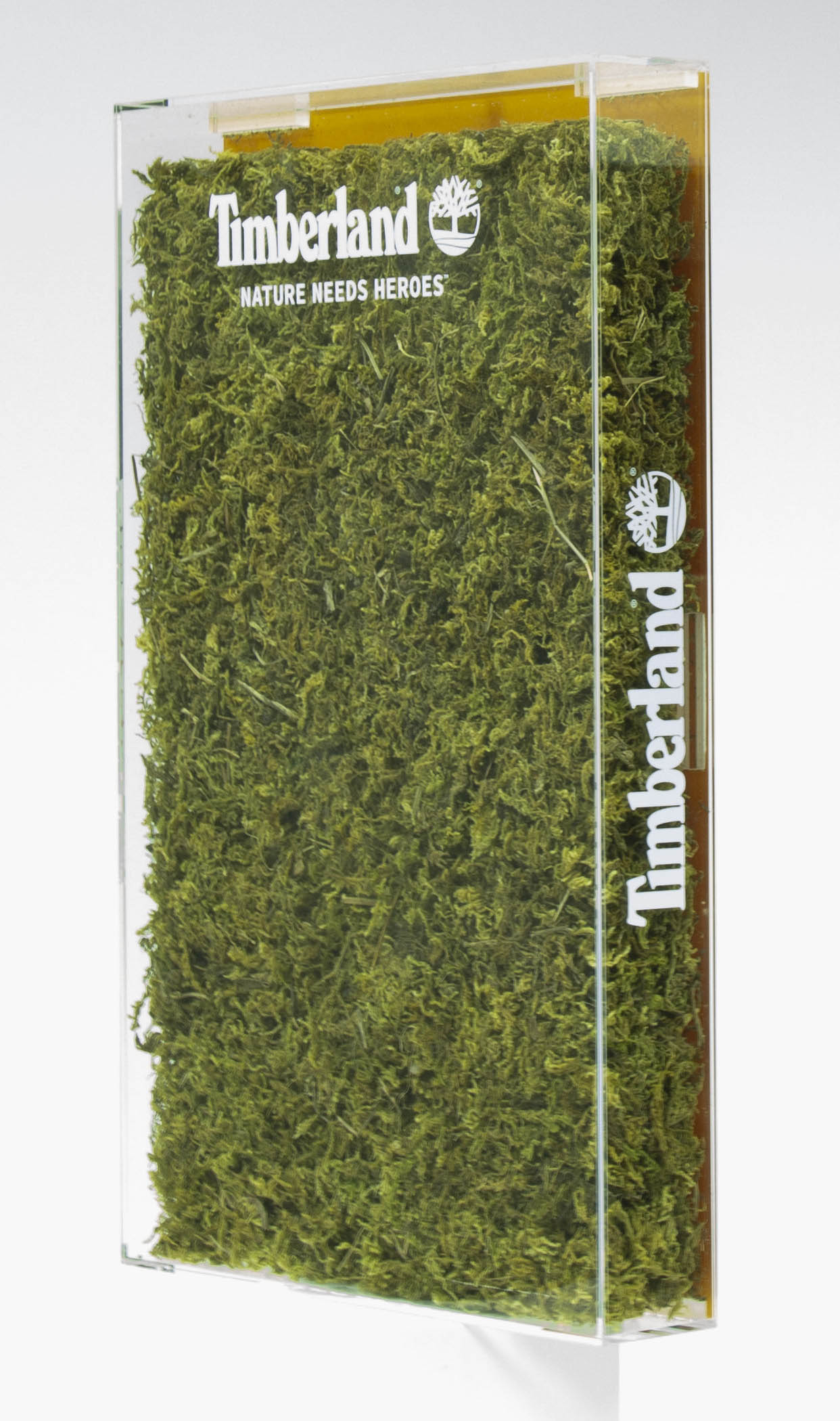 Timberland | Pacific Northern